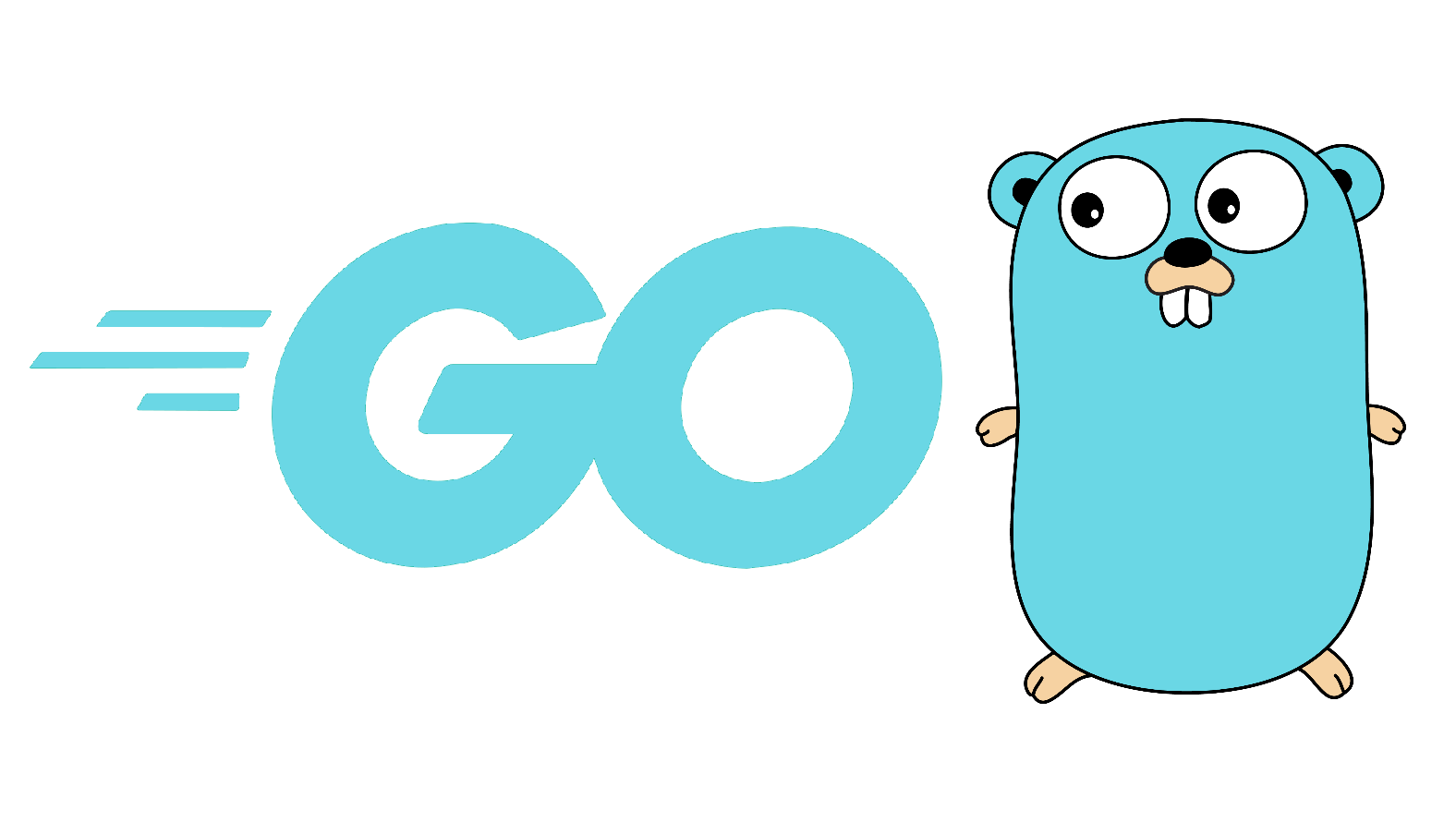 Aprende a programar con GO GRATIS » Michollo.com